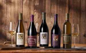 Gallery - Merry Edwards